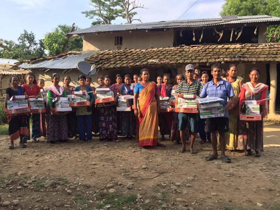 मुक्त कमलरी महिलालाई विद्युतिय चुलो वितरण - Himal Post Himal Post